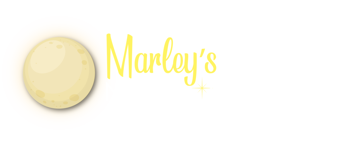 Portfolio Archive - Marley's Moon Bounce